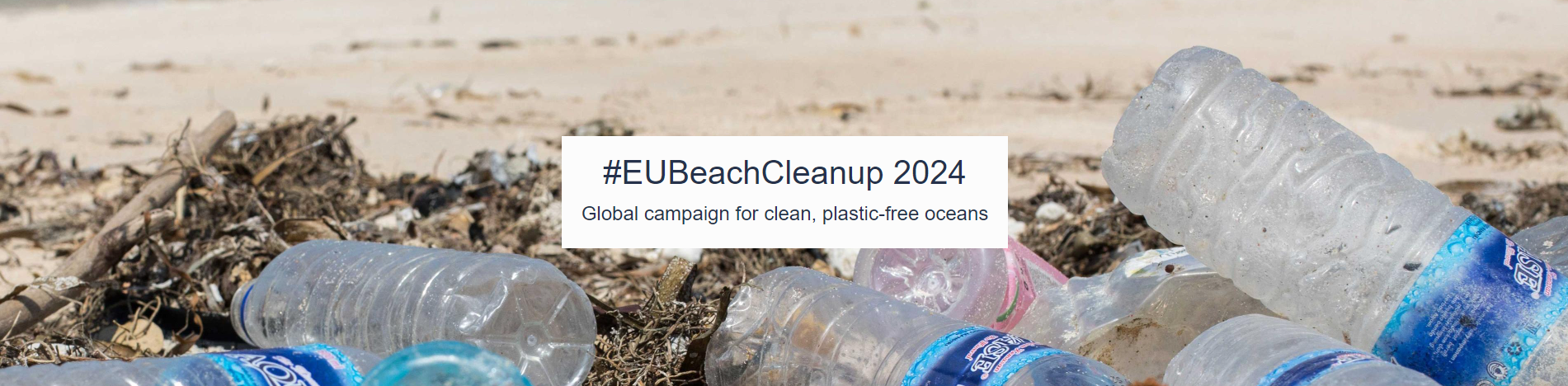 EU Beach Cleanup decorre na Praia dos Pescadores em Armação de Pêra ...